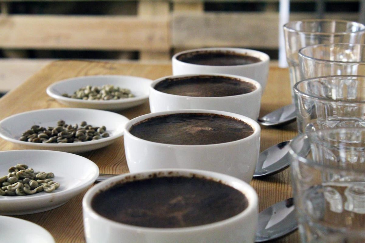 Gourmet Coffee Beans: Why Your Current Coffee Is Letting You Down